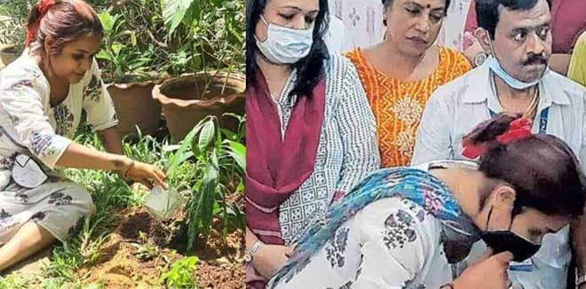 മാവിൻ തൈ നട്ട്, ചോട്ടിൽ‌ പ്രതാപിന്റെ ചിതാഭസ്മം അർപ്പിച്ച് കേയ ...