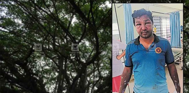 ശരീരമാസകലം വ്രണം, മുഖത്ത് അലർജി: ചാര് മരം മുറിച്ചു മാറ്റിയ ഫയർഫോഴ്സ് ...