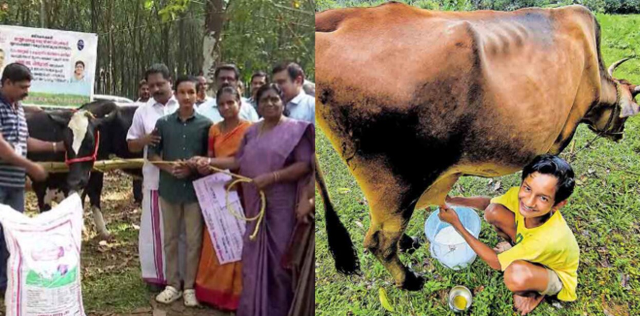 സര്‍ക്കാര്‍ നല്‍കിയ വാക്ക് പാലിച്ചു; കുട്ടിക്കര്‍ഷകര്‍ക്ക് ഇൻഷുറൻസ് ...