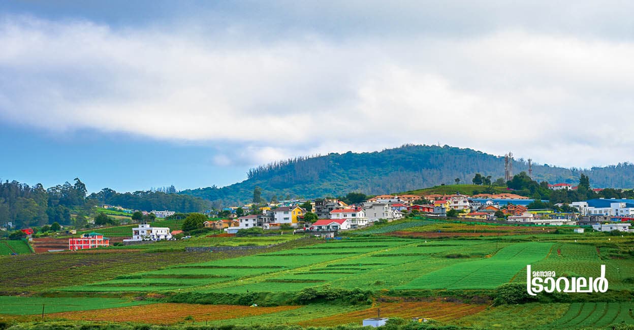 ഊട്ടിയിലേക്കുളള റൂട്ട് മാറ്റിയാലോ? കോടമഞ്ഞ് മൂടിയ താഴ്‌വരകളും ...