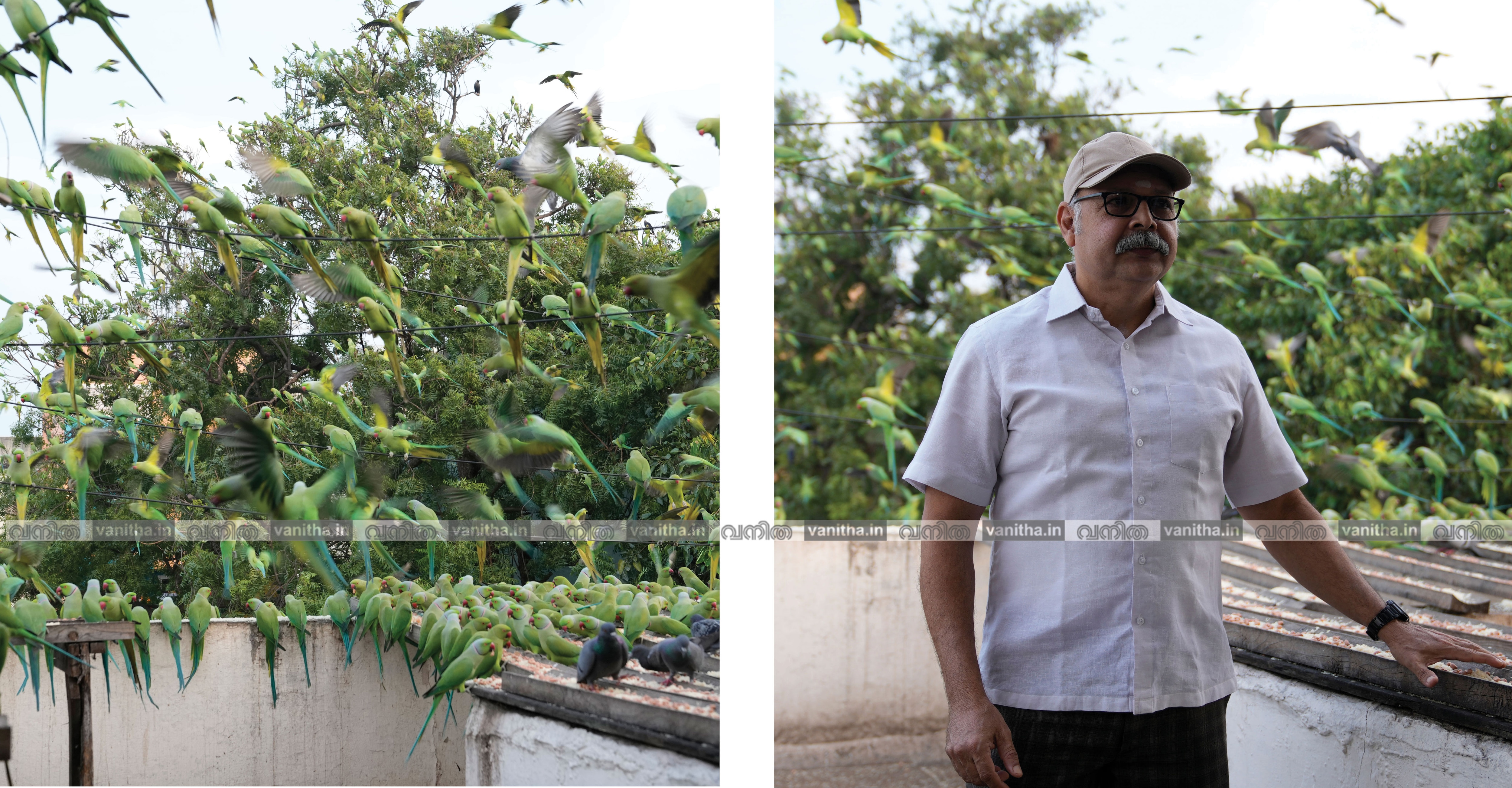 മെയ്യഴകനിലെ അരവിന്ദ് സ്വാമിയുടെ കഥാപാത്രം– സുദർശൻ ഷാ, ചെന്നൈയിലെ തത്ത ...