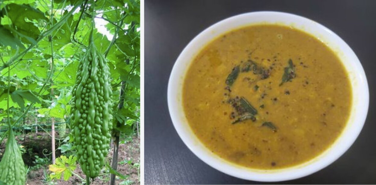 പാരിക്ക പിട്ടിൽ, കയ്പിലാതെ പാവയ്ക്ക തയാറാക്കാൻ ഇങ്ങനെ ചെയ്യാം! | Bitter ...